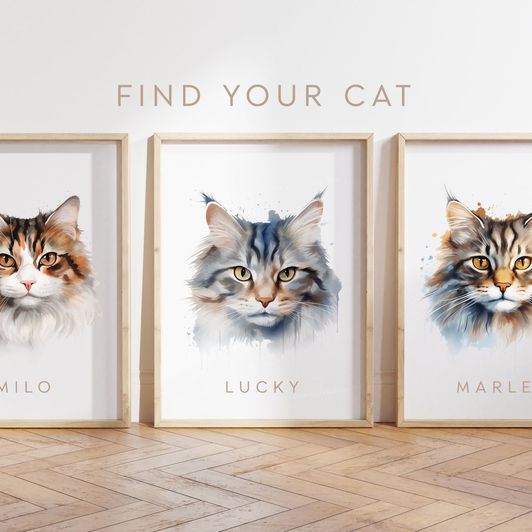 Custom Cat Poster - Ragamuffin Poster - Ragamuffin Cat Print ...