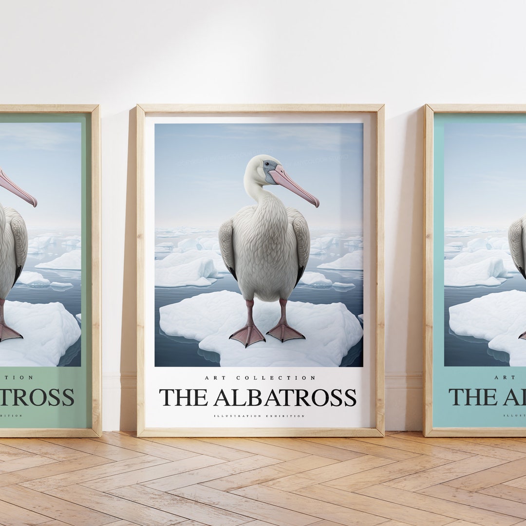 Any Colour - the Albatros Print - the Albatros Poster - the Albatros ...
