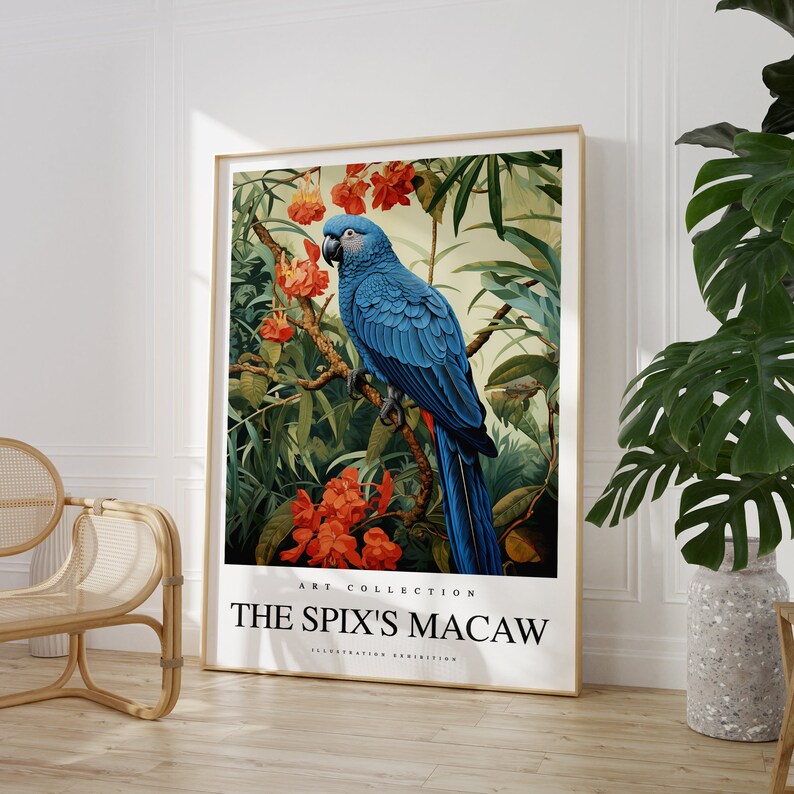 Any Colour Spix's Macaw Print Spix's Macaw Poster Spix's Macaw Art ...