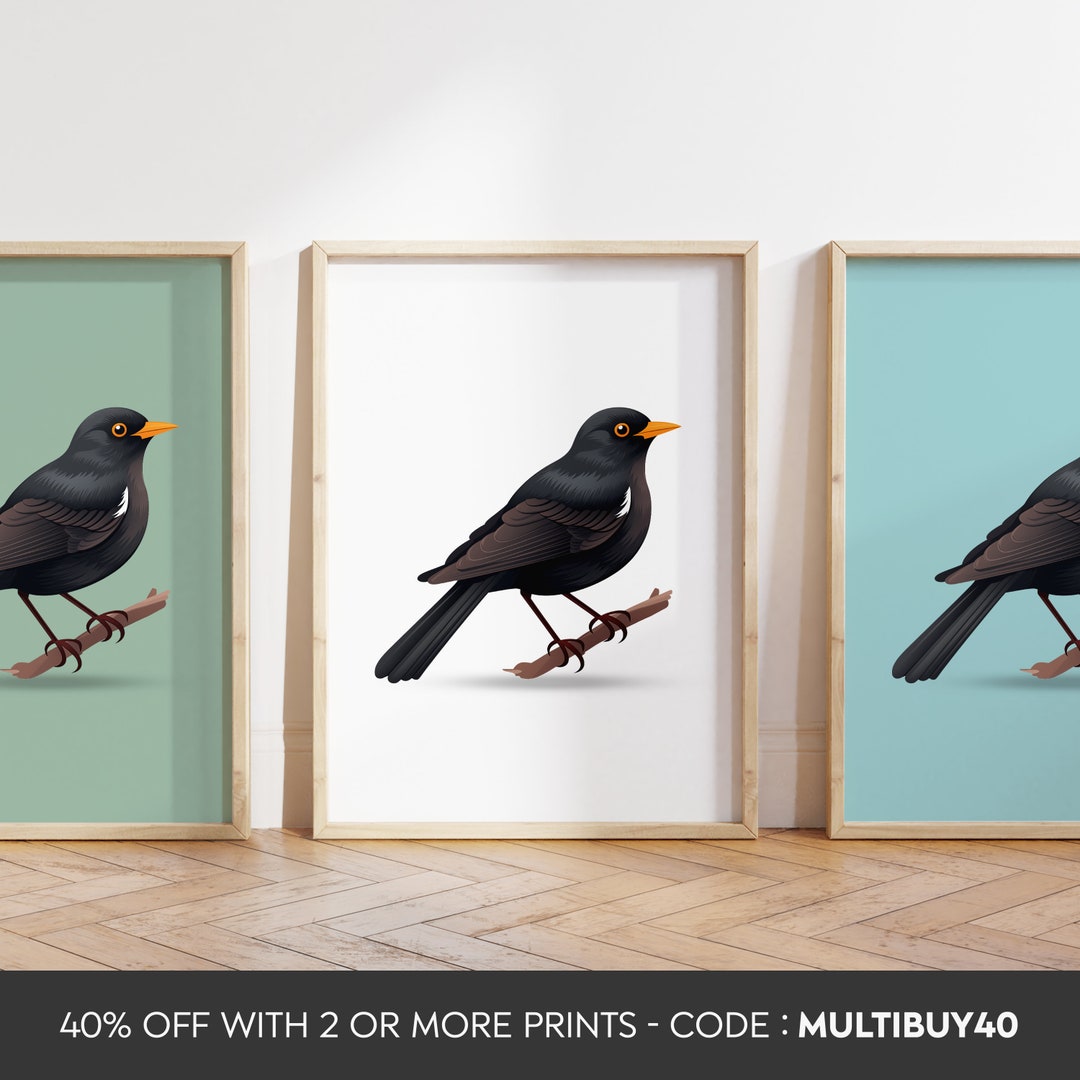Any Colour - Blackbird Bird Print - Blackbird Poster - Blackbird Art ...