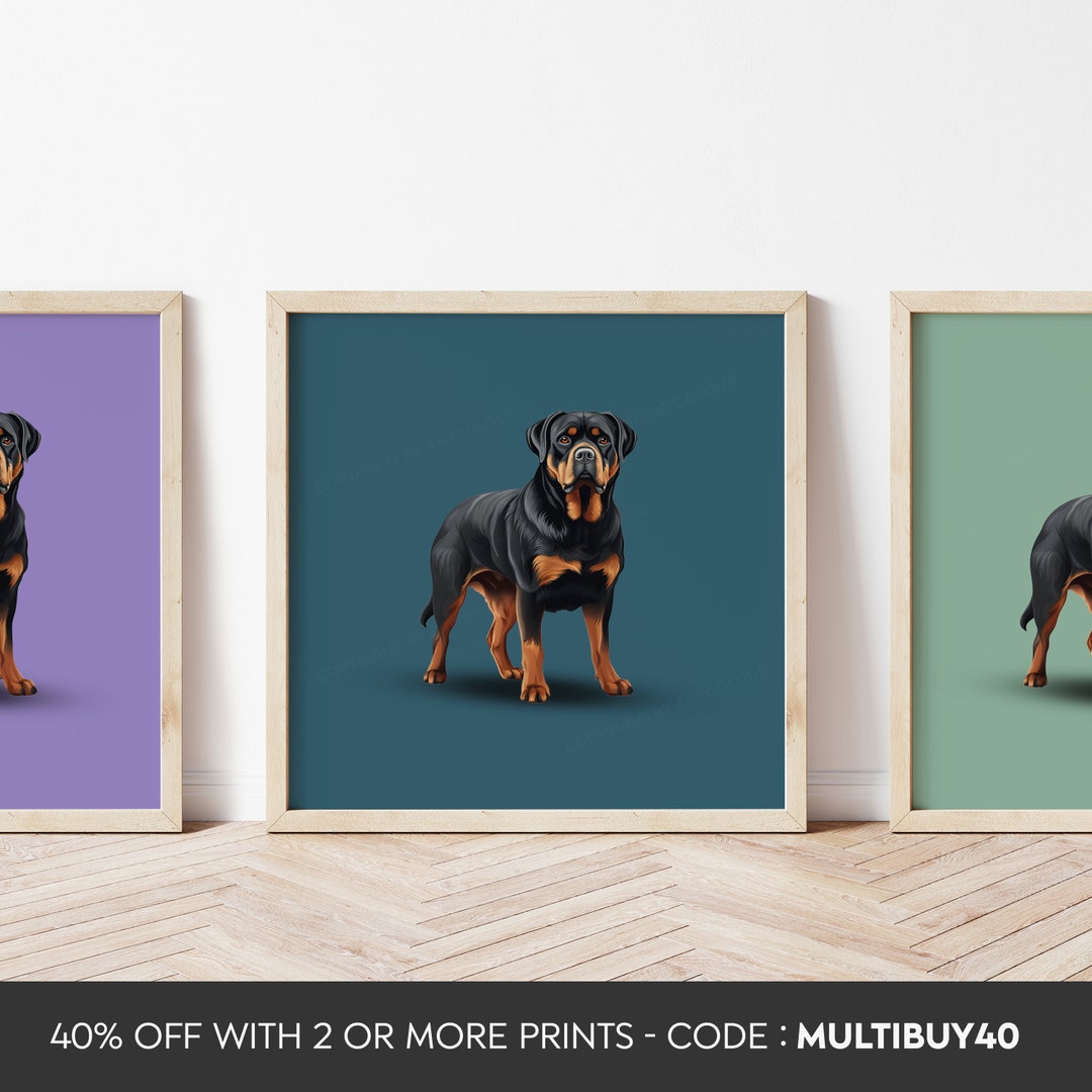 Any Colour - Rottweiler Dog Poster - Rottweiler Dog Print - Rottweiler ...
