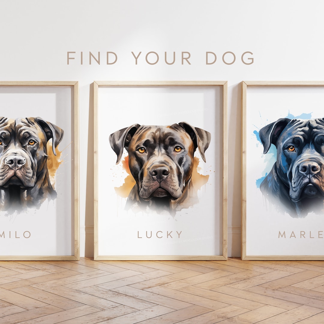 Custom Dog Poster - Cane Corso Poster - Cane Corso Dog Print - Cane ...