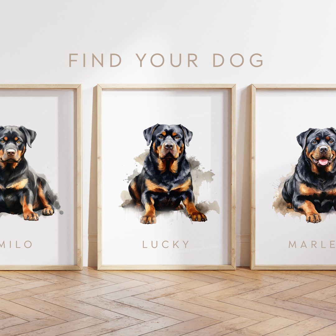 Any Colour - Rottweiler Dog - Rottweiler Poster - Custom Text Print ...