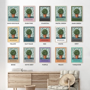 Any Colour - Boxwood Plant Print - Boxwood Plant Poster - Boxwood Plant ...