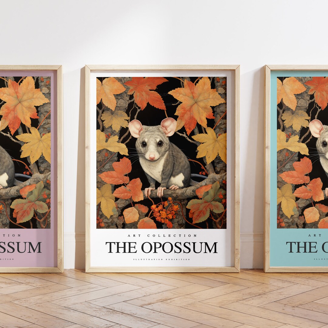 Any Colour - Opossum Print - Opossum Poster - Opossum Art - Wildlife ...