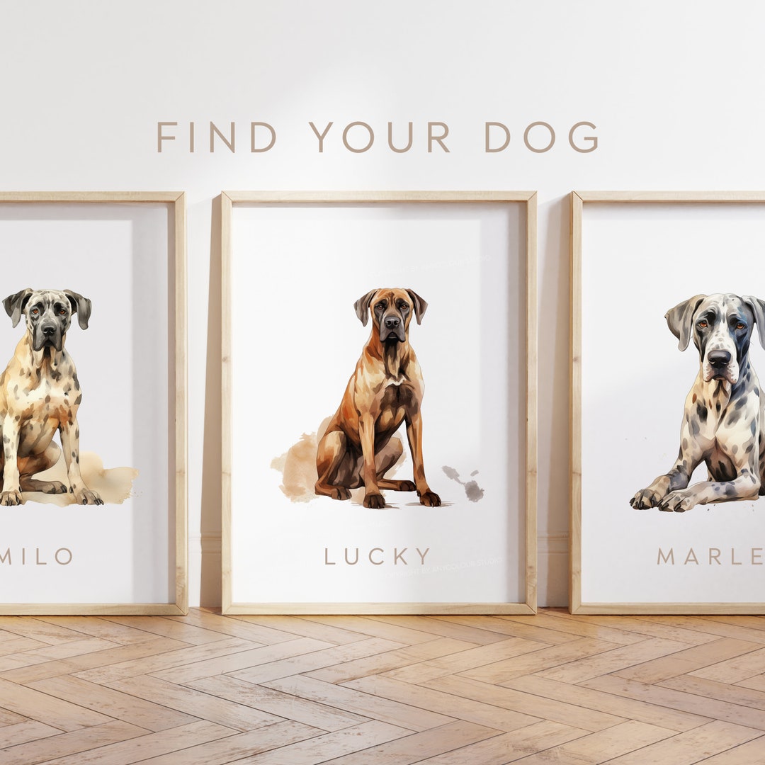 Any Colour - Great Dane Dog - Great Dane Poster - Custom Text Print ...