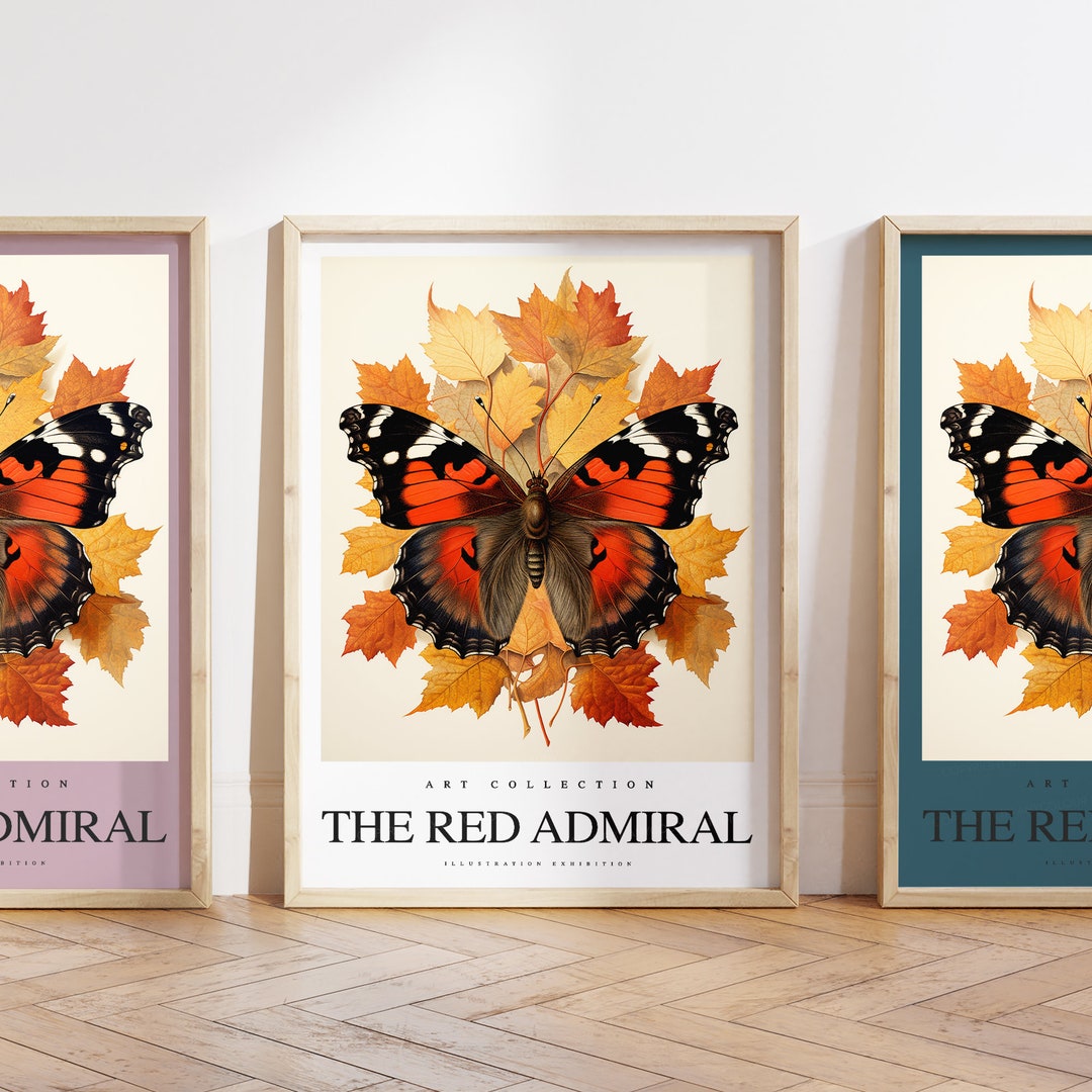 The Red Admiral Poster - the Red Admiral Print - the Red Admiral Art ...