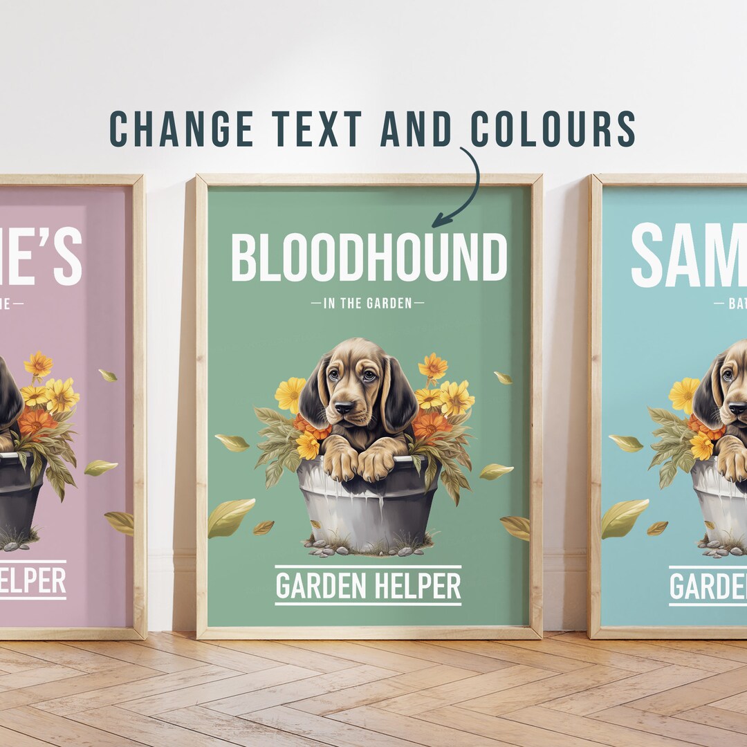Any Colour - Bloodhound in Garden Poster - Bloodhound Poster - Custom ...