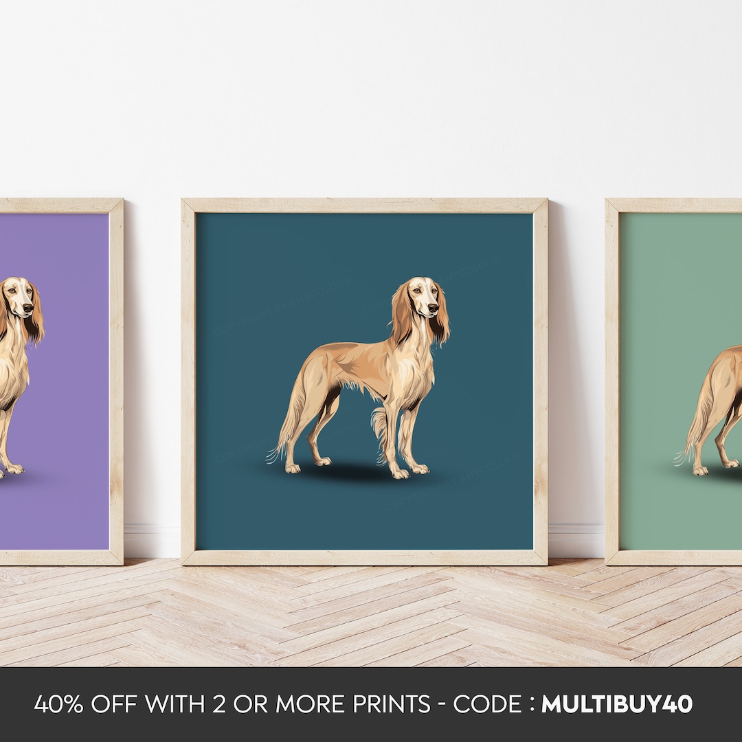 Any Colour - Saluki Poster - Saluki Dog Print - Saluki Print - Dog Art ...