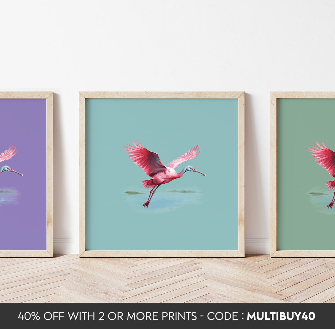 Spoonbill Print Spoonbill Poster Spoonbill Art Spoonbill Illustration ...