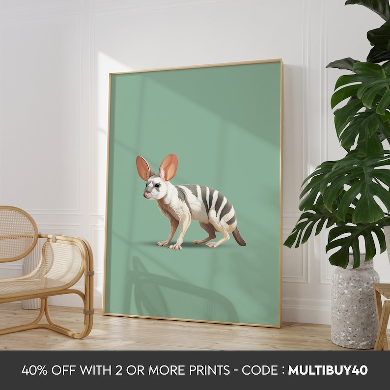 Any Colour Lesser Bilby Print Lesser Bilby Poster - Etsy