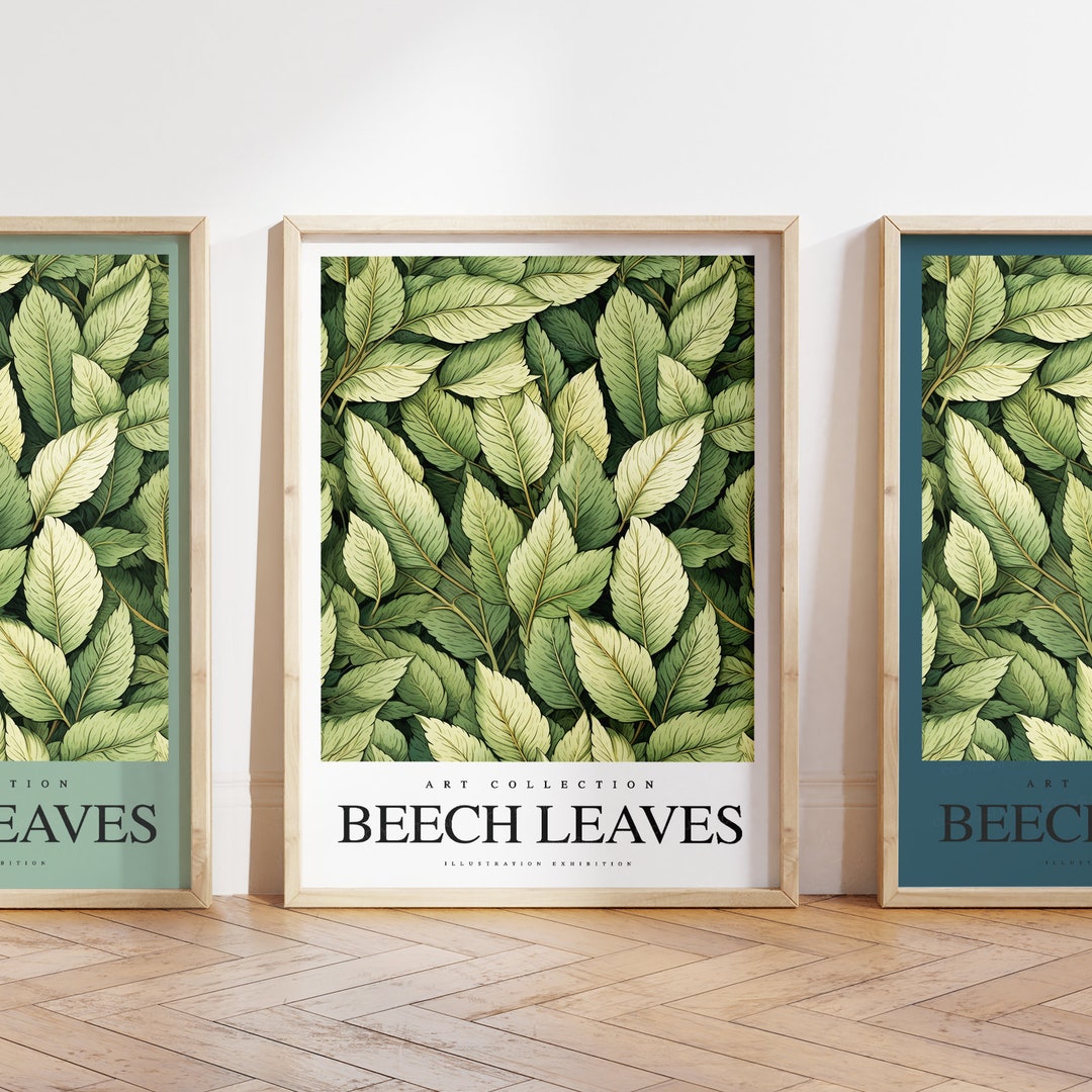 Any Colour - Beech Tree Leaves Print - Beech Tree Leaves Poster - Beech Tree Art - Vintage Print ...