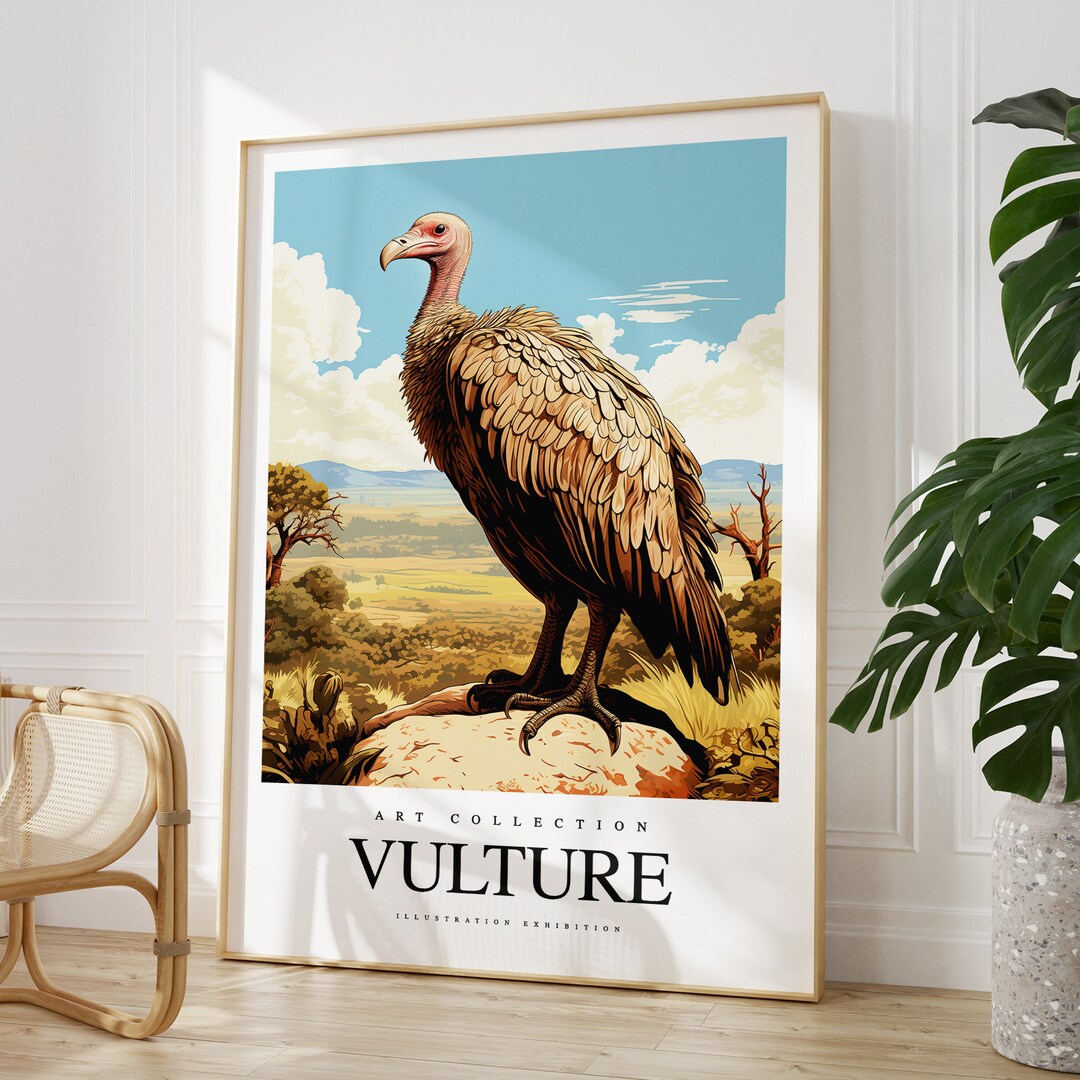 Any Colour - the Vulture Print - the Vulture Poster - Vintage Print ...