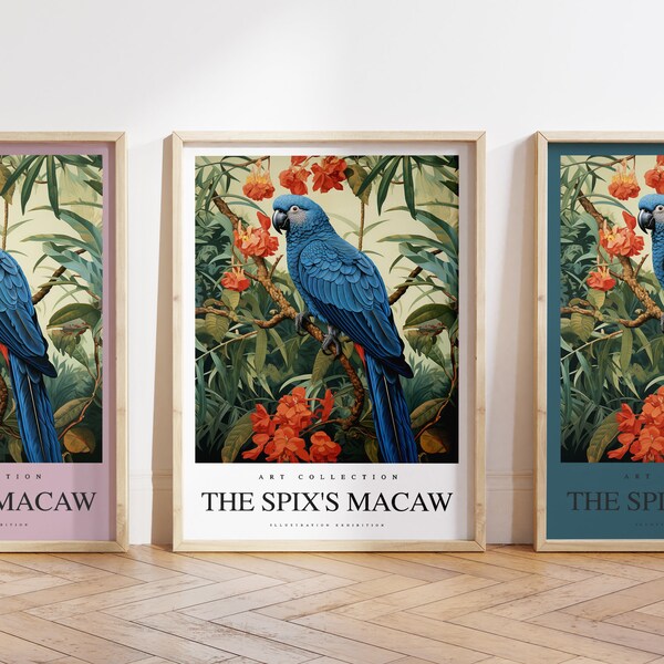 Macaw Poster - Etsy