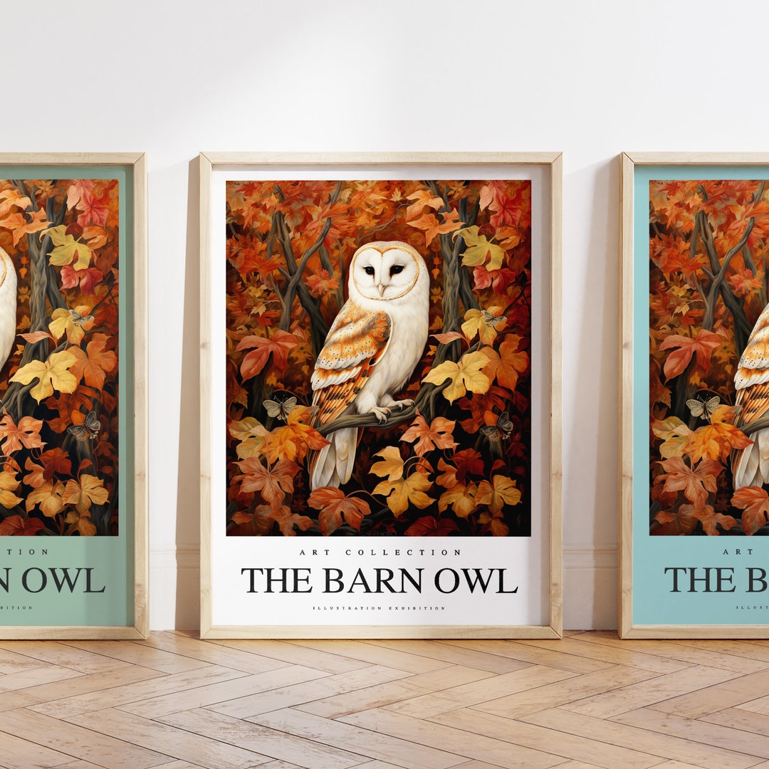Barn Owl Poster - Barn Owl Print - Barn Owl Art - Bird Art - Birds ...
