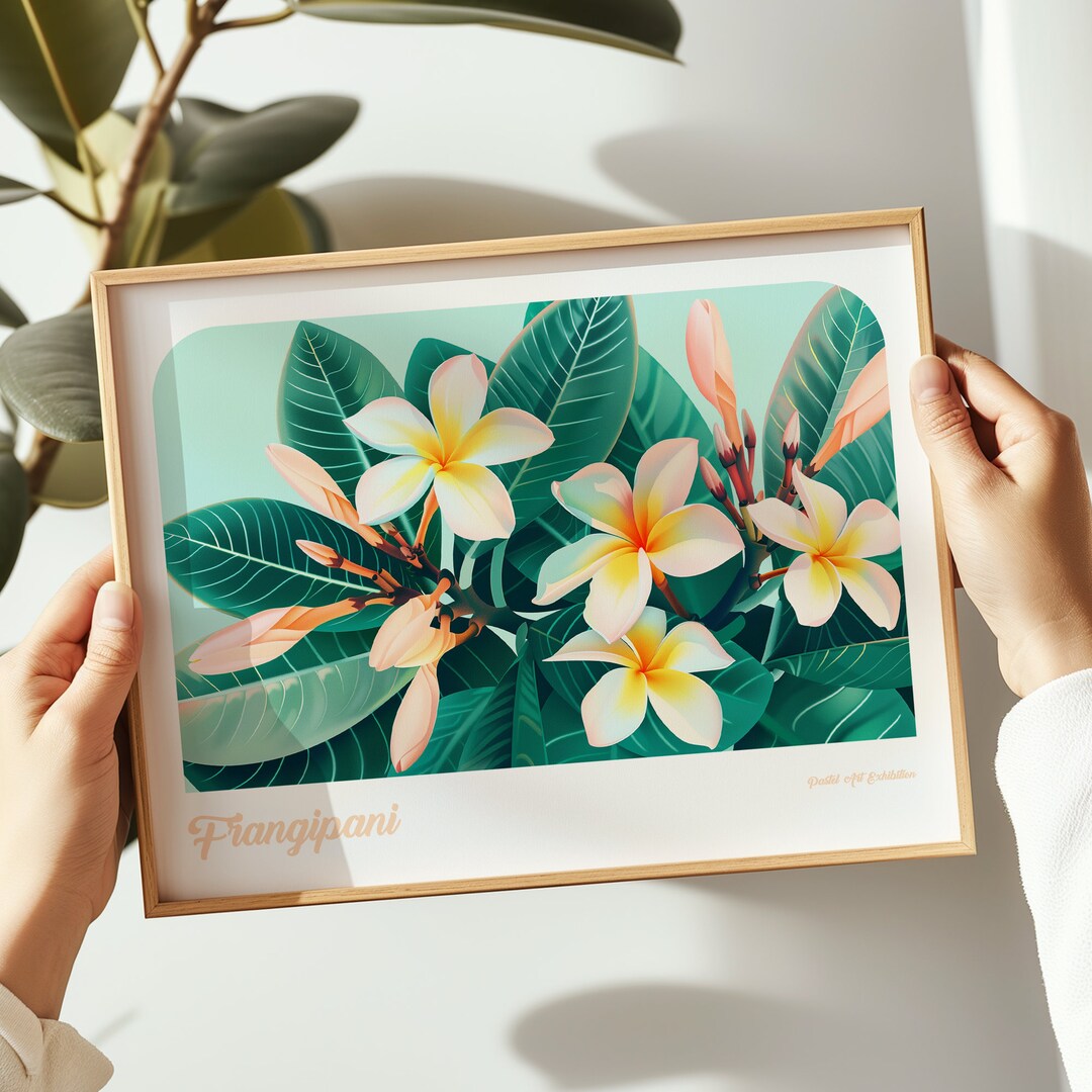 Frangipani Flowers Landscape Print, Frangipani Flowers Poster ...