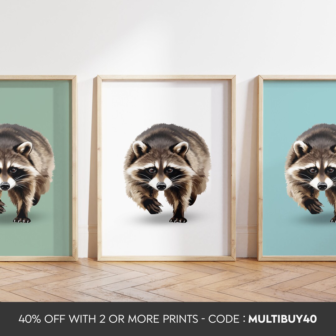 Any Colour - Raccoon Print - Raccoon Poster - Raccoon Art - Raccoon ...
