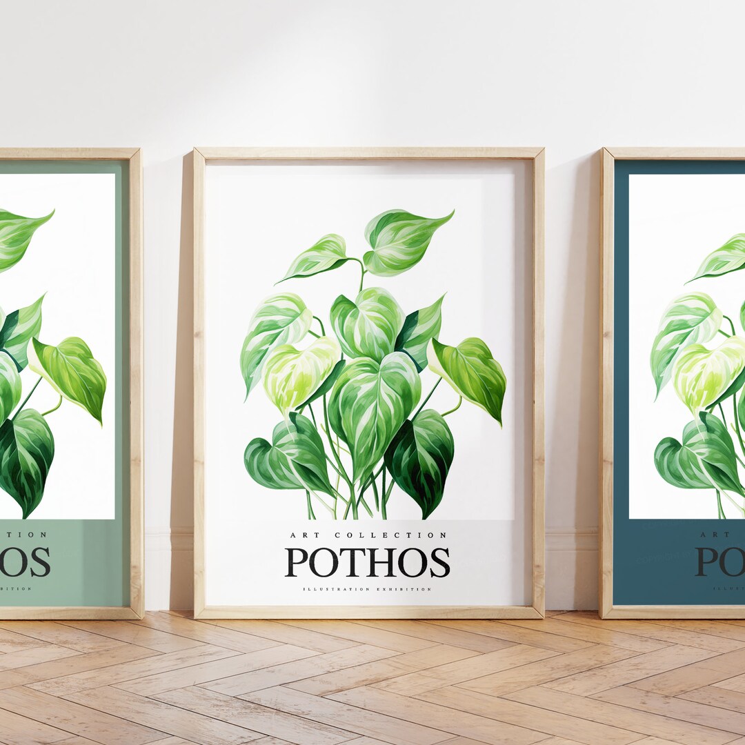 Any Colour - Pothos Print - Pothos Poster - Pothos Plant Art - House ...