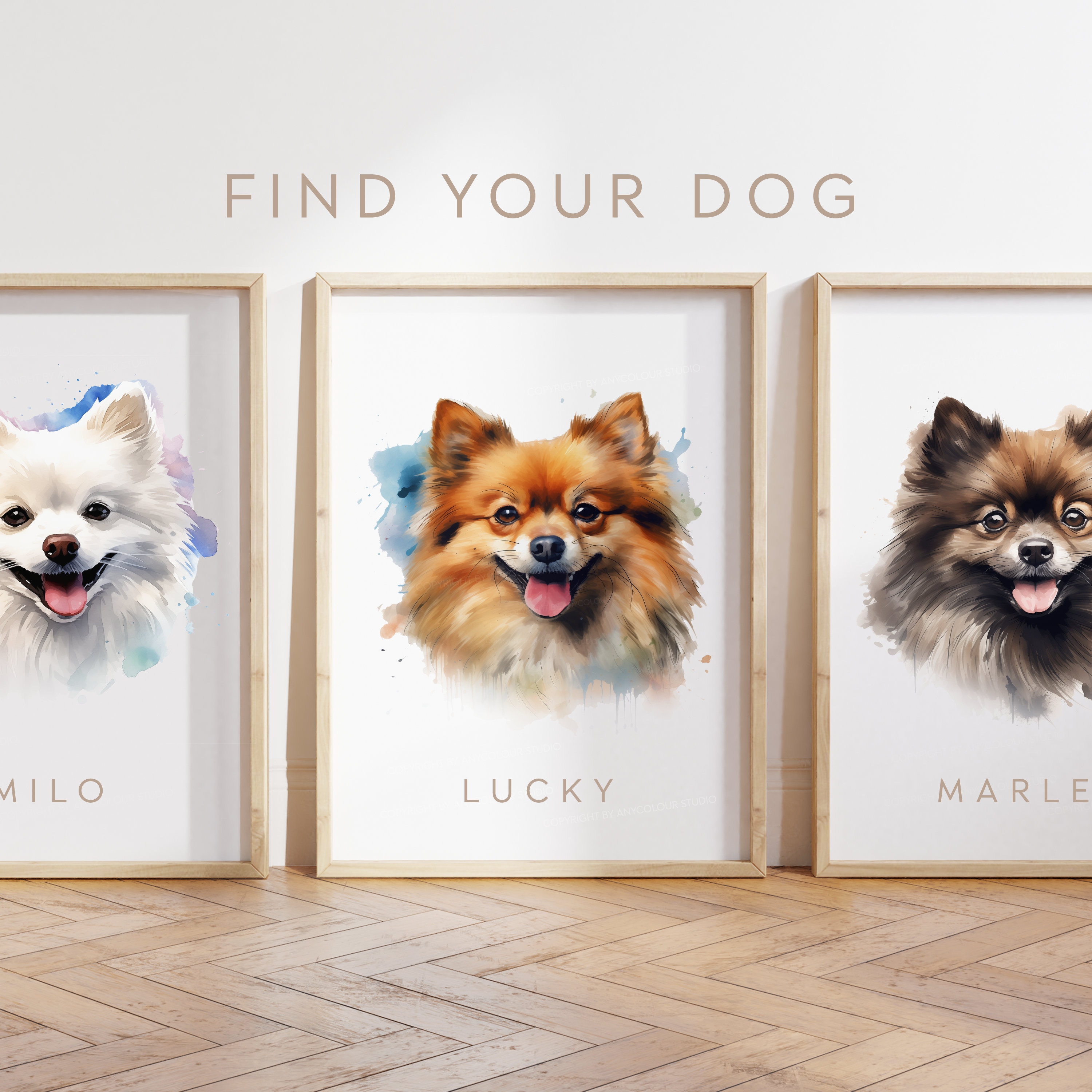 Custom Dog Poster Pomeranian Poster Pomeranian Dog Print Watercolour ...