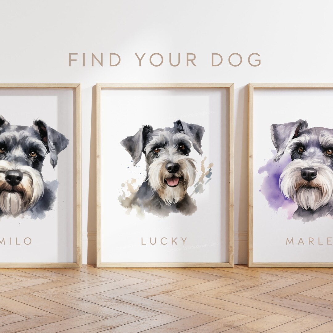 Custom Dog Poster - Miniature Schnauzer Poster - Miniature Schnauzer ...