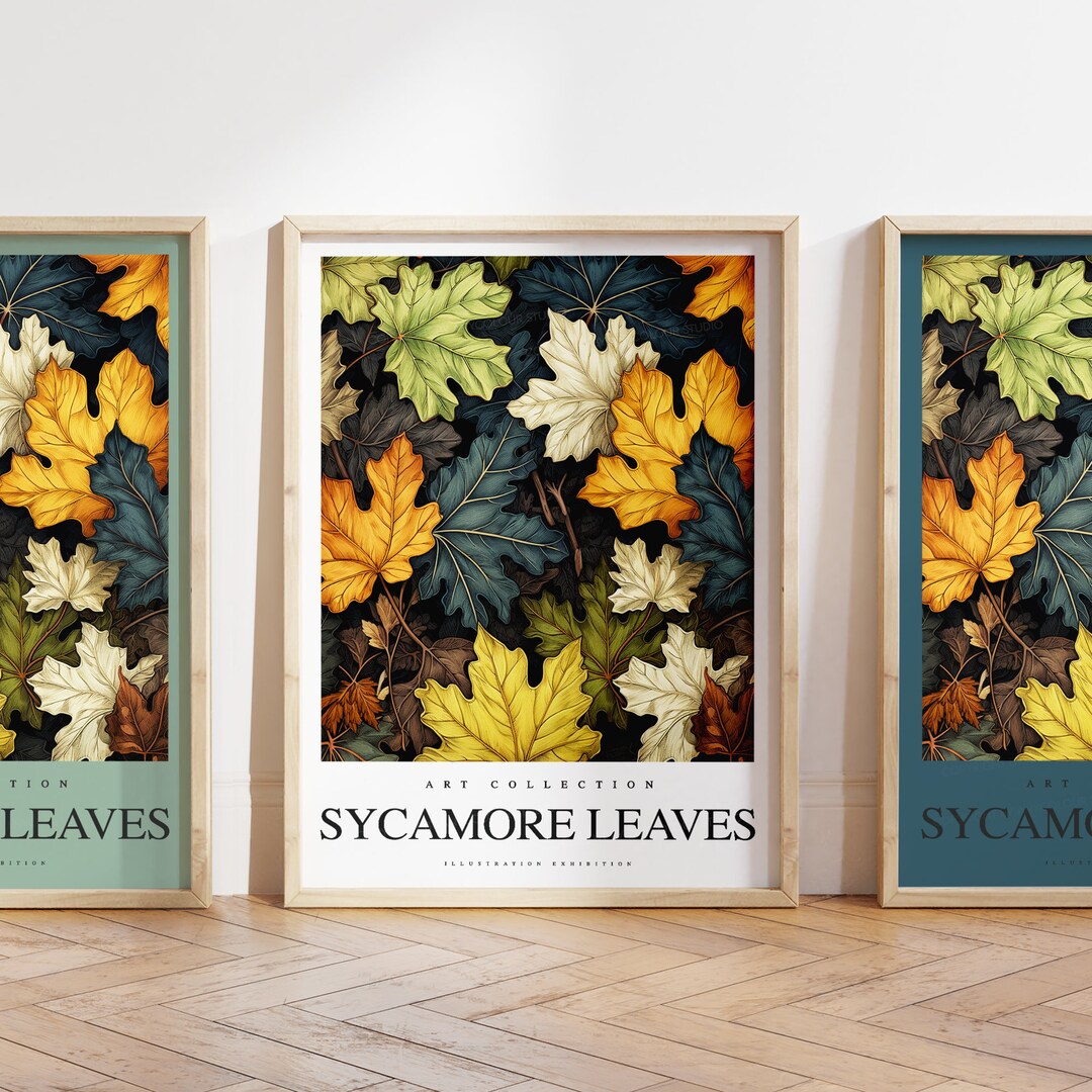 Any Colour - Sycamore Tree Leaves Print - Sycamore Leaves Poster ...