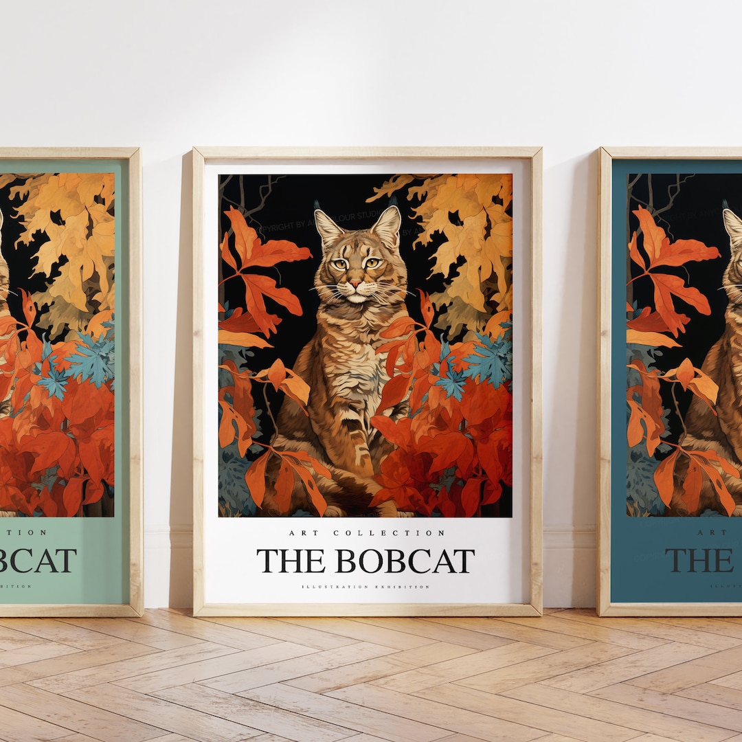 The Bobcat Print - Bobcat Illustration Poster - Bobcat Art - Bobcat ...
