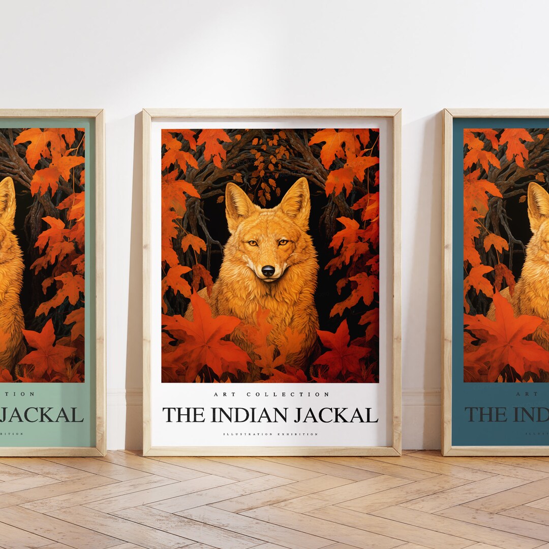 Any Colour the Indian Jackal Print the Indian Jackal - Etsy