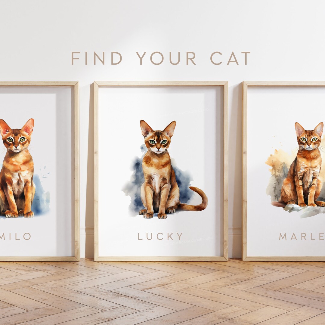 Any Colour - Abyssinian Cat - Abyssinian Cat Poster - Custom Text Print ...
