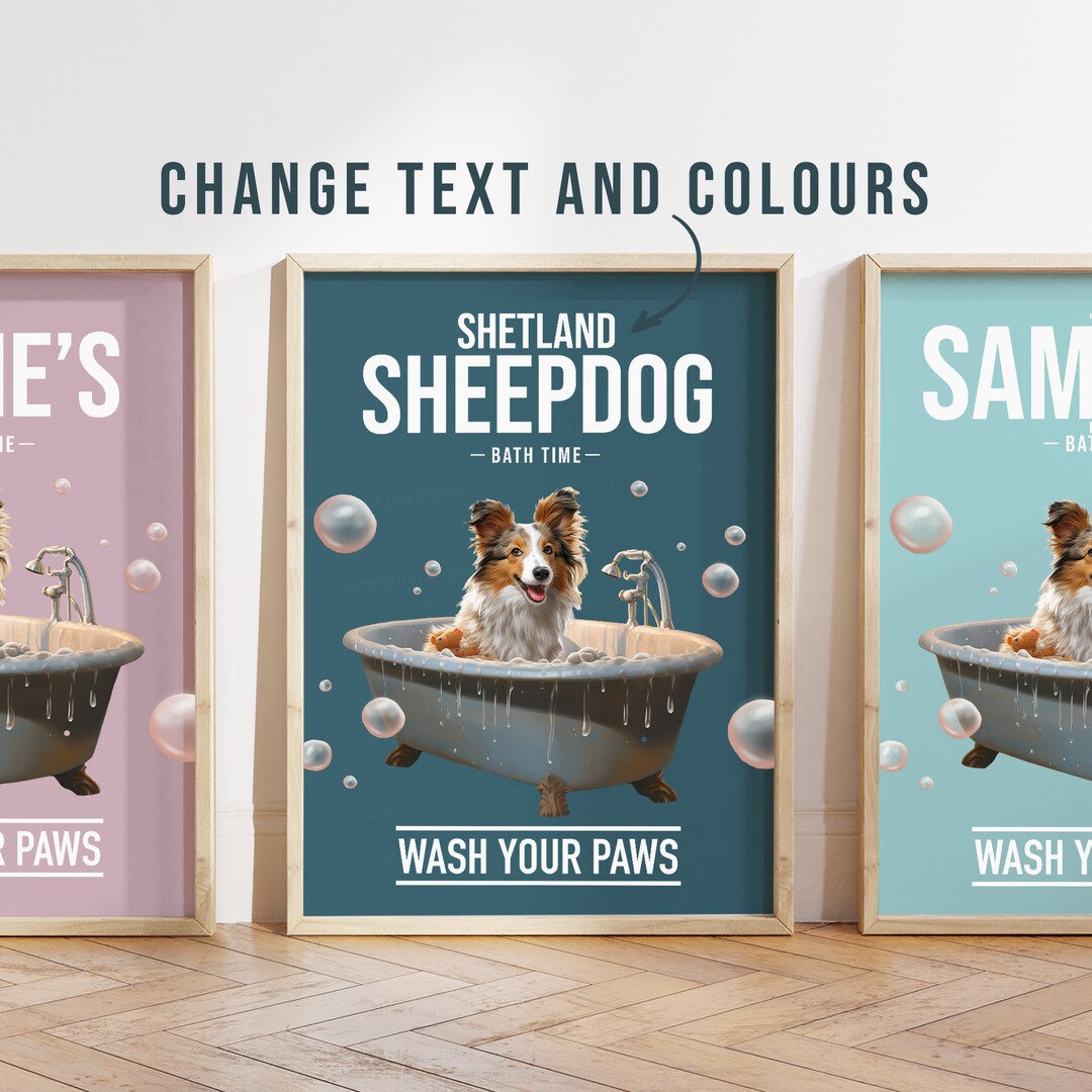 Any Colour Shetland Sheepdog in Bath Poster Shetland Sheepdog Poster ...