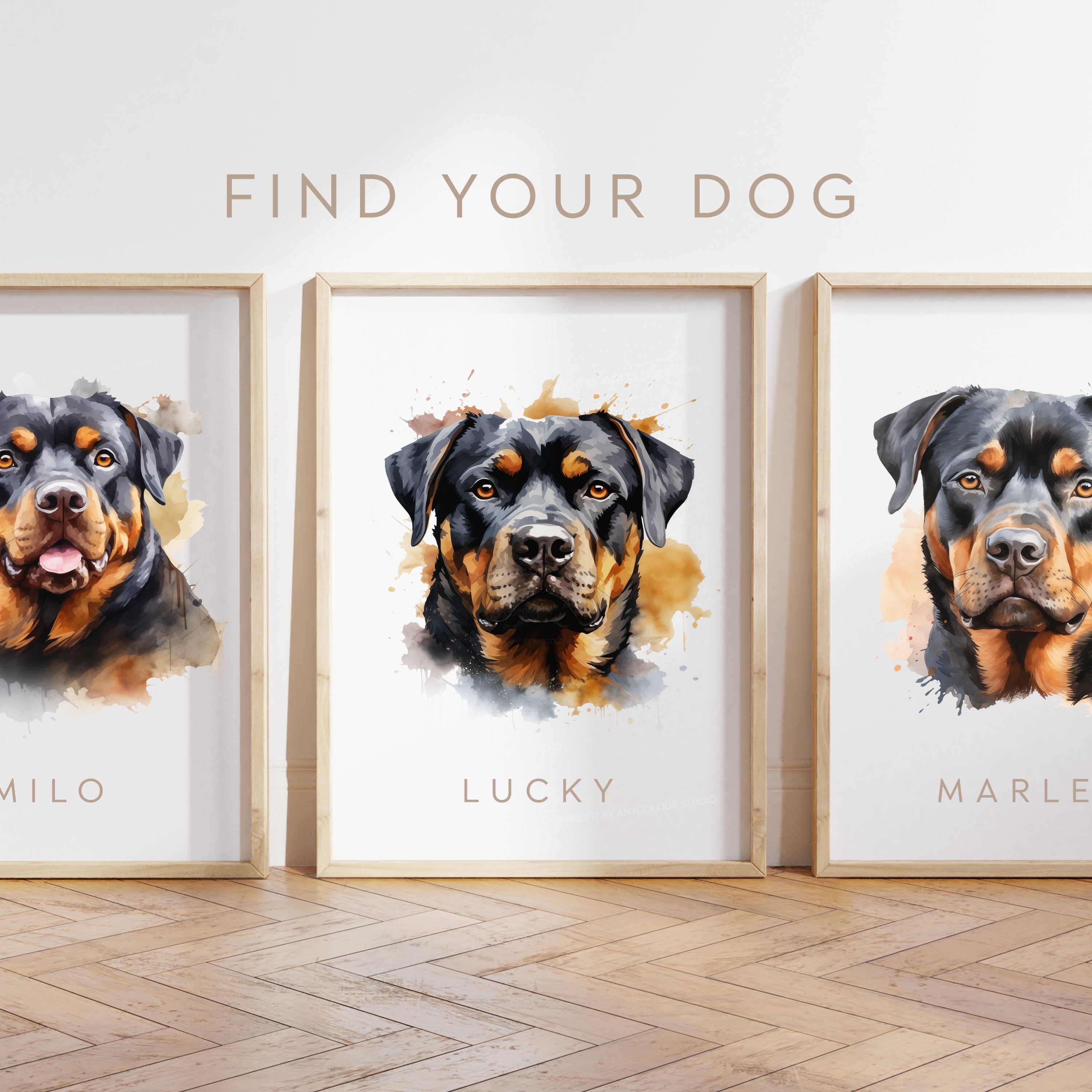 Custom Dog Poster - Rottweiler Poster - Rottweiler Dog Print ...