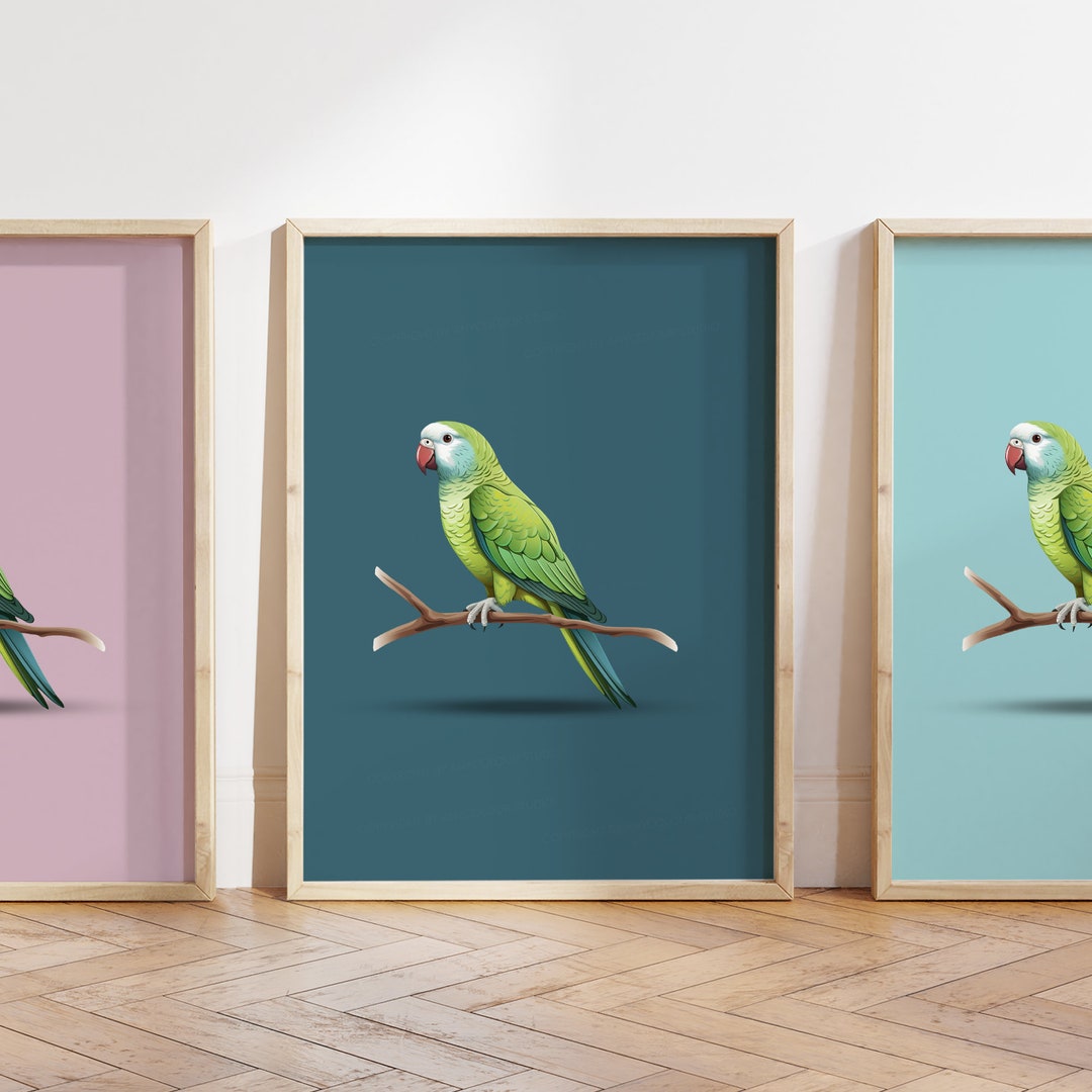 Monk Parakeet Poster - Parakeet Print - Parakeet Art - Parakeet ...