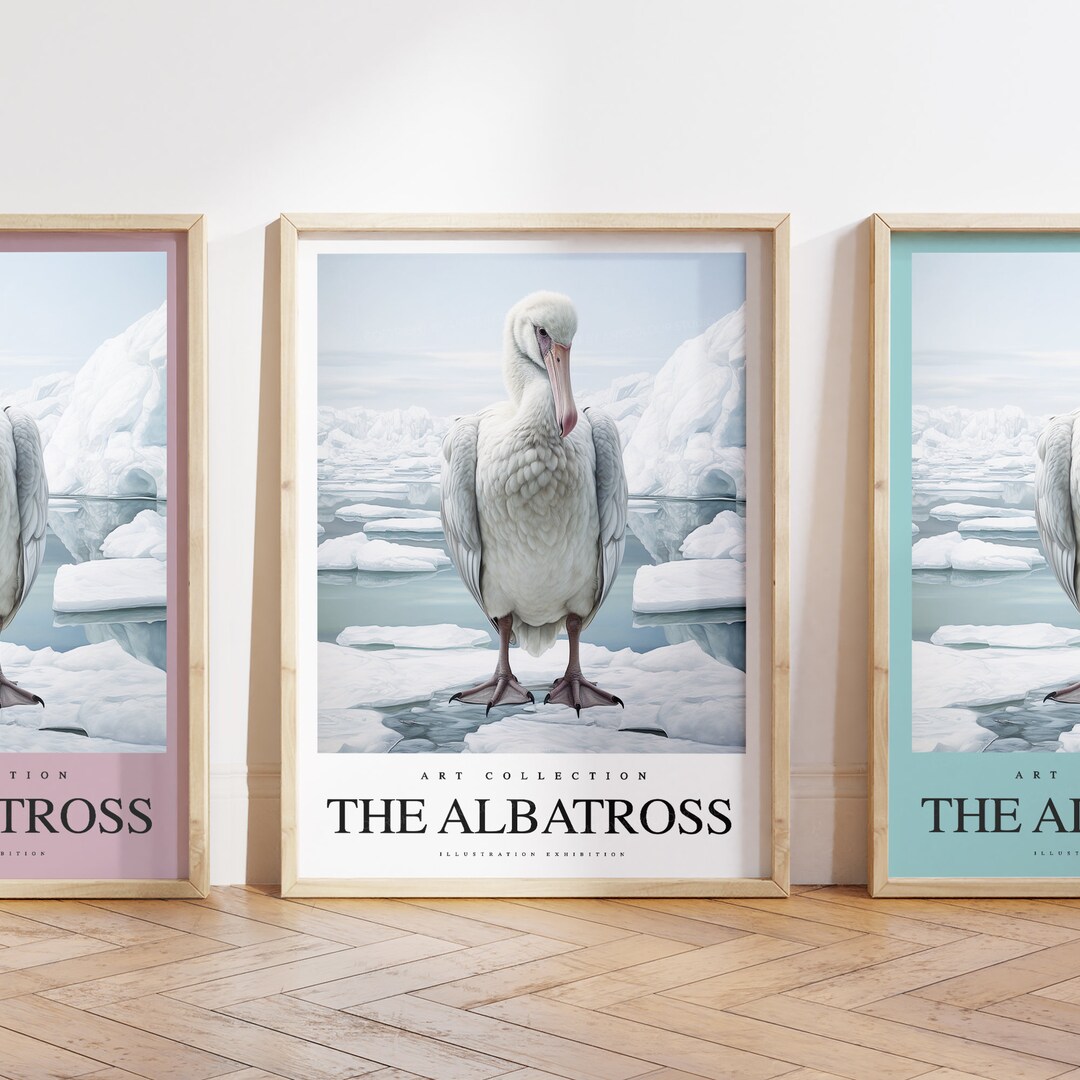 Any Colour the Albatros Print the Albatros Poster the Albatros Art ...