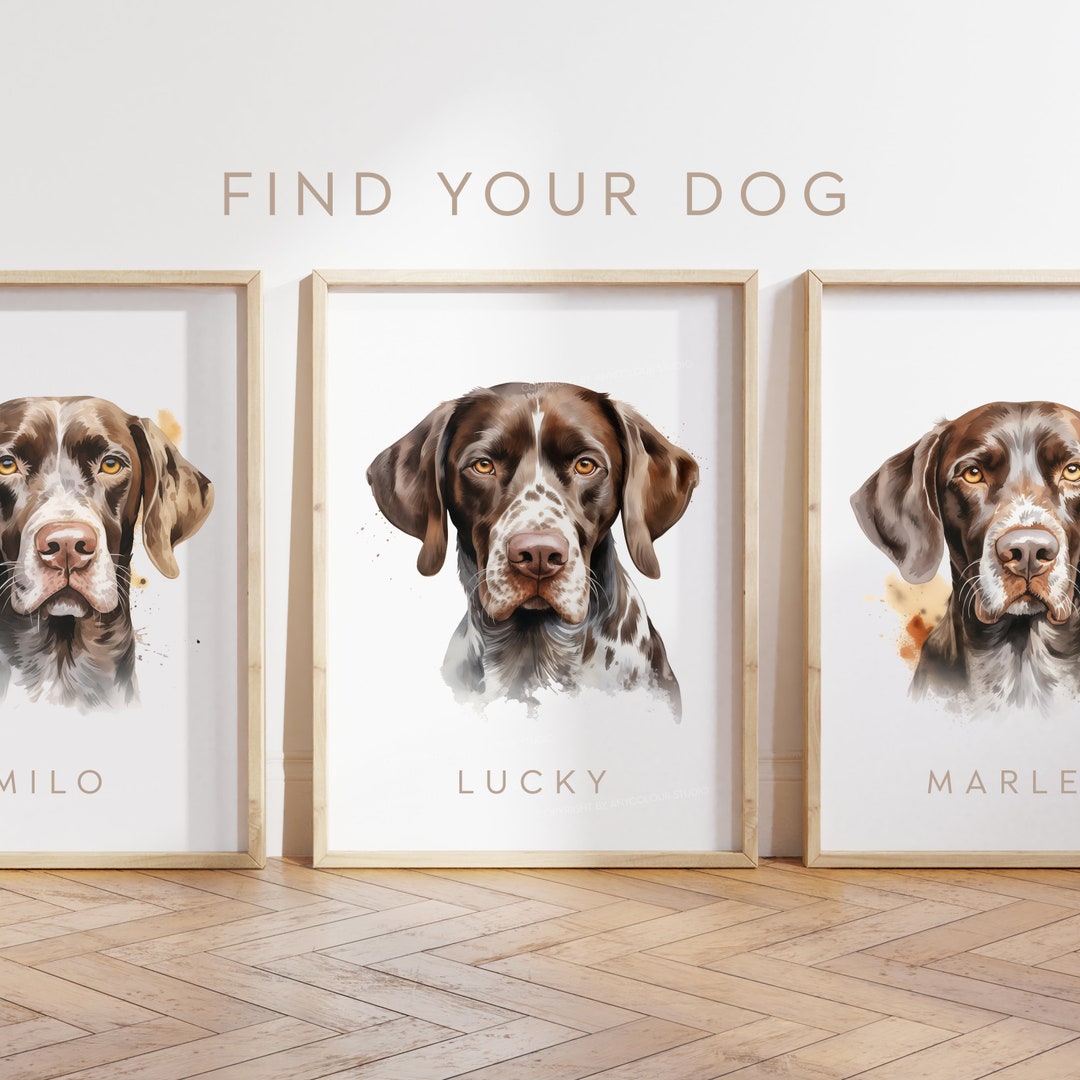 Custom Dog Poster - German Shorthaired Pointer Poster - German ...