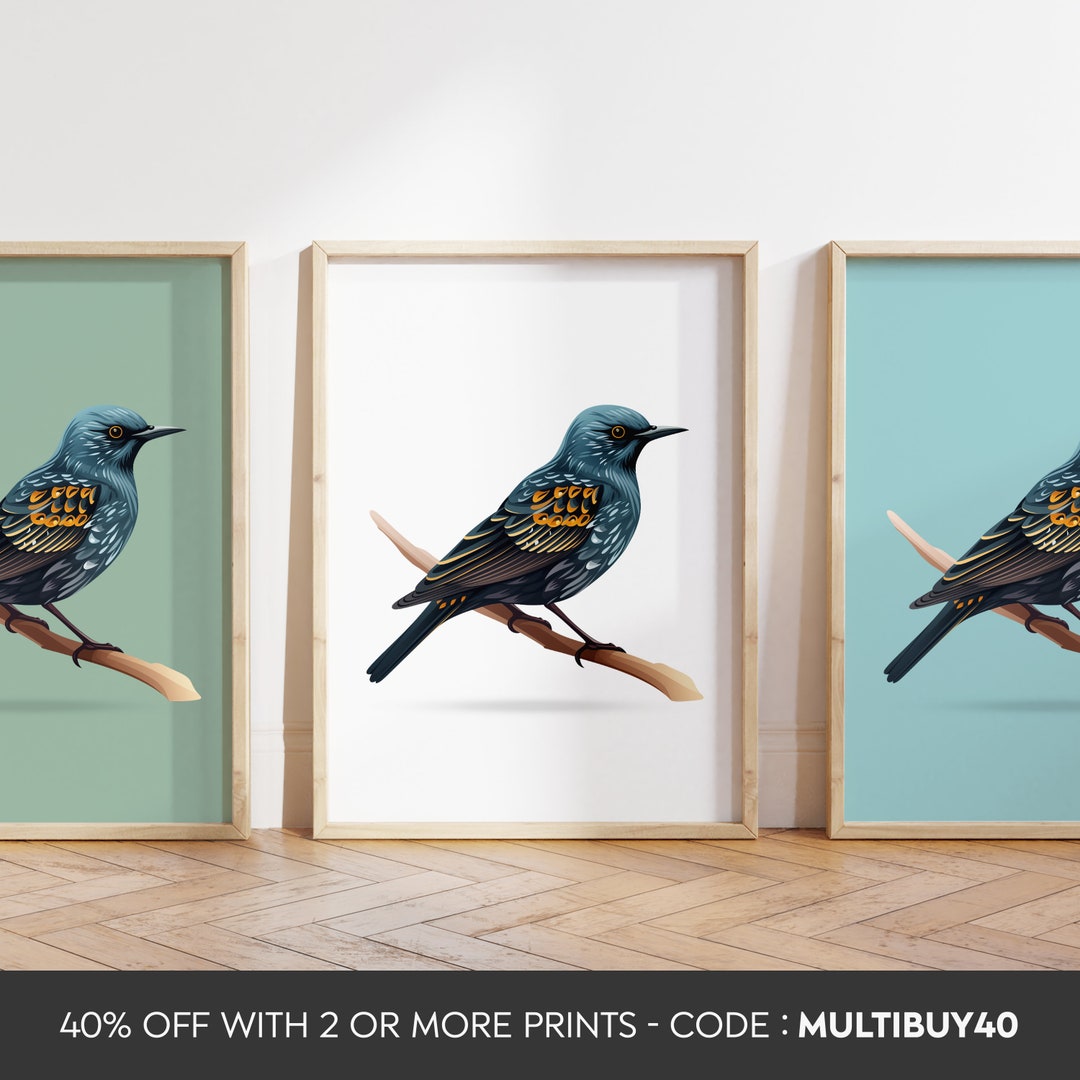 Any Colour - Starling Bird Print - Starling Poster - Starling Art ...