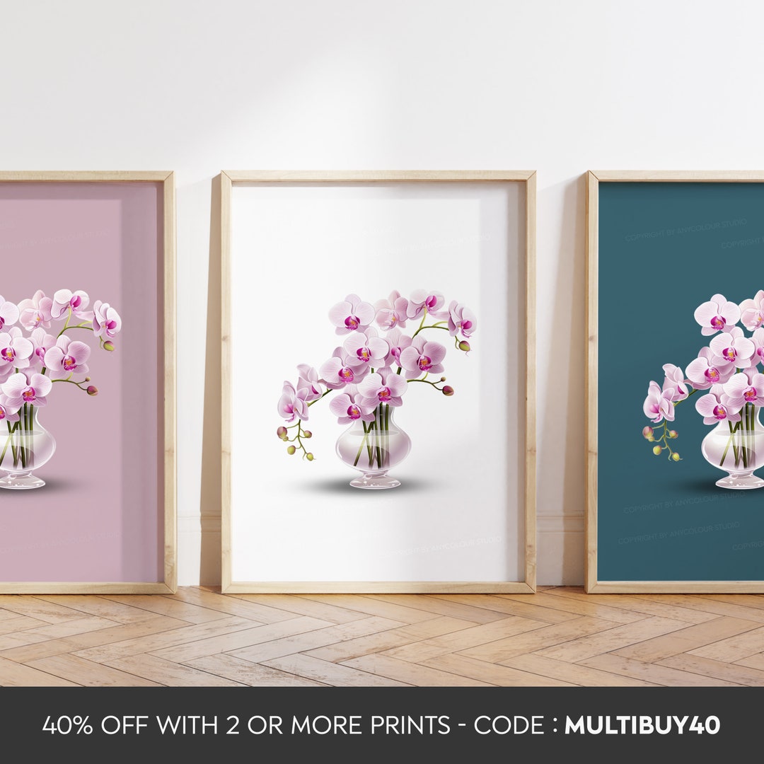 Any Colour - Orchid Plant Poster - Orchid in Pot Poster - Plant Ar ...