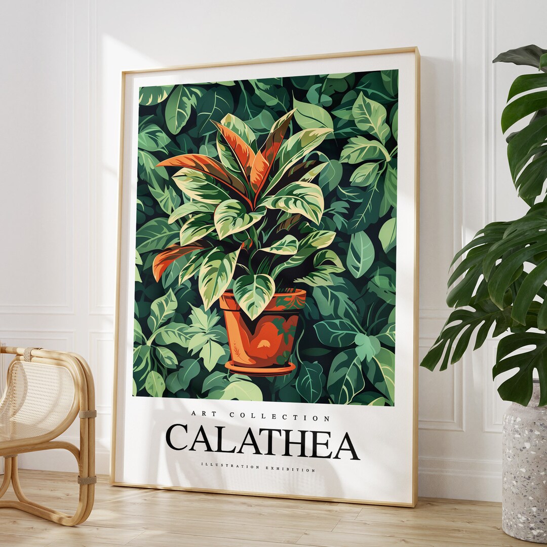 Any Colour - Calathea Plant Print - Calathea Plant Poster - Calathea ...