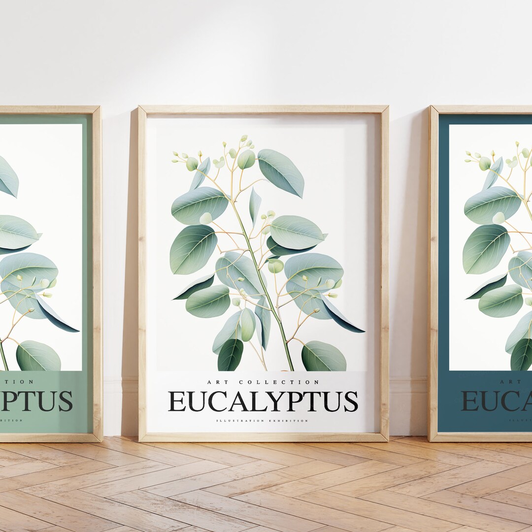 Any Colour - Eucalyptus Tree Print - Eucalyptus Leaves Poster ...