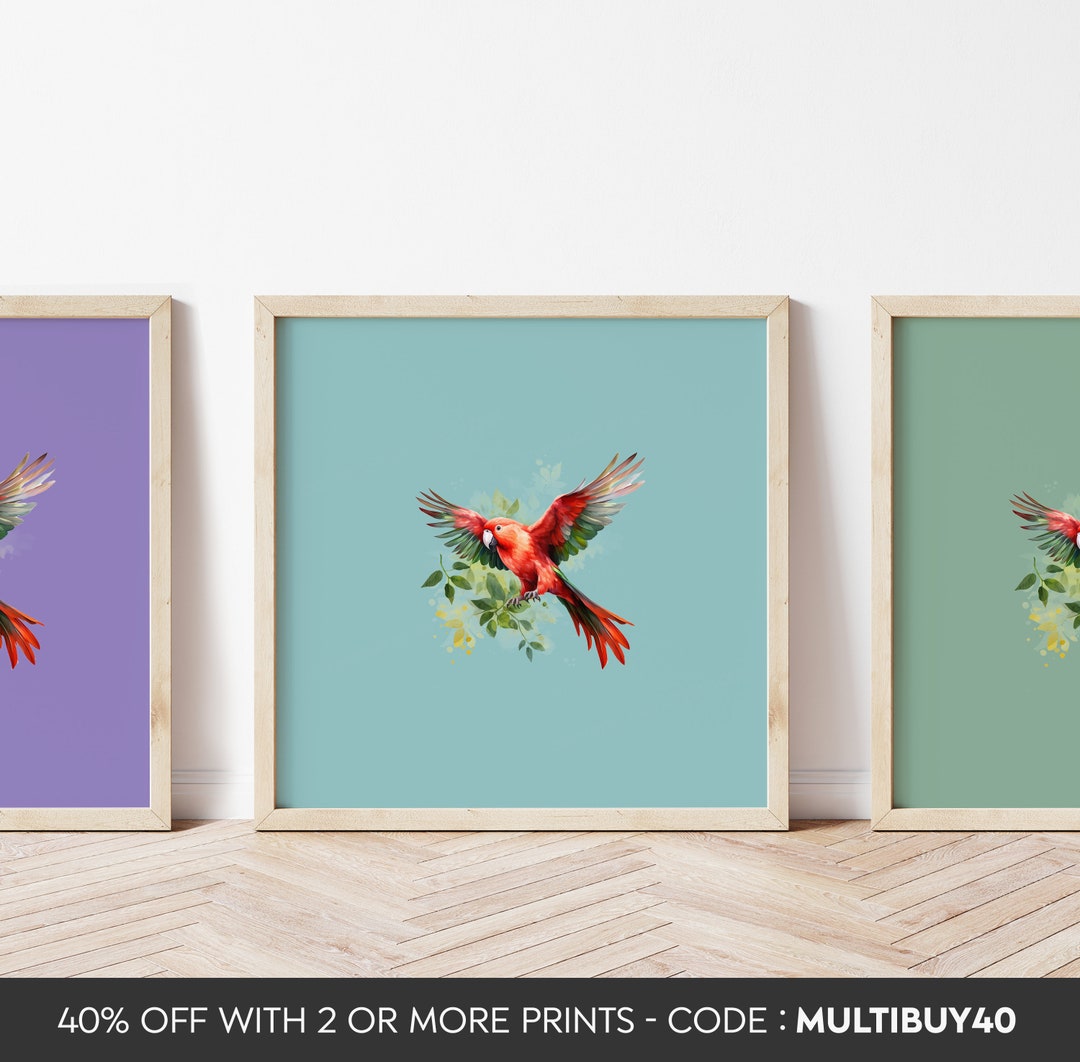 Any Colour - Australian King Parrot Print - Australian King Parrot ...