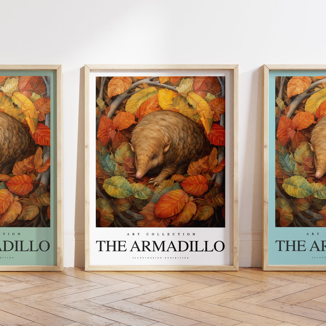 Any Colour - Armadillo Print - Armadillo Poster - Armadillo Art ...