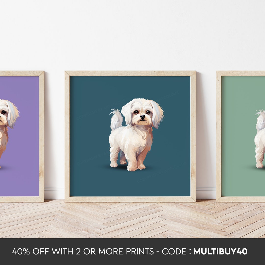 Any Colour - Maltese Dog Poster - Maltese Print - Maltese Dog Print ...