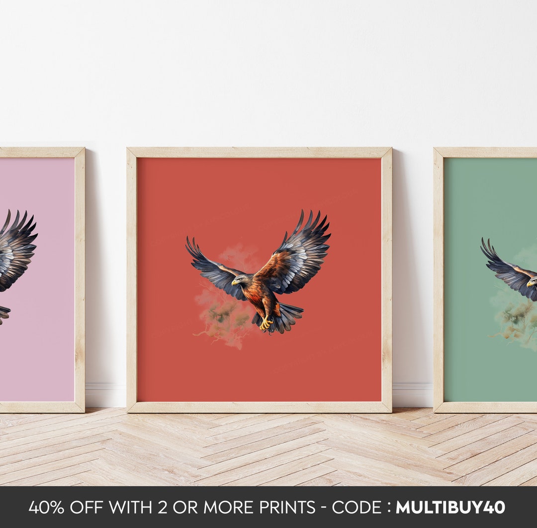 Harris Hawk Poster Harris Hawk Print Harris Hawk Art Harris Hawk ...