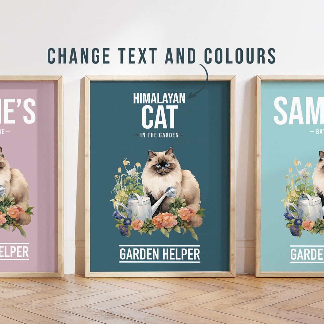 Any Colour - Himalayan Cat in Garden Poster - Himalayan Cat Poster ...
