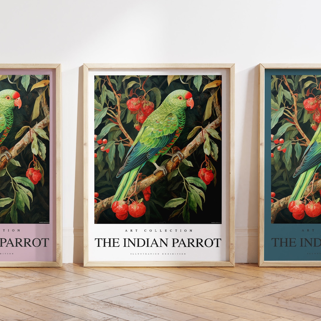 Any Colour - the Rose-ringed Parakeet Print - the Indian Parrot Poster ...