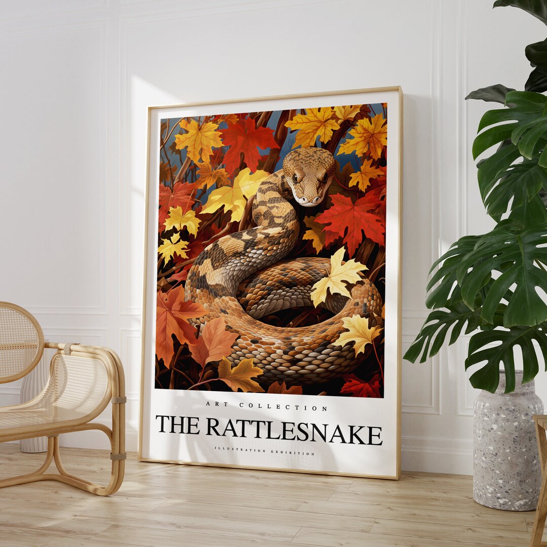The Rattle Snake Print - Rattle Snake Illustration Poster - Snake ...