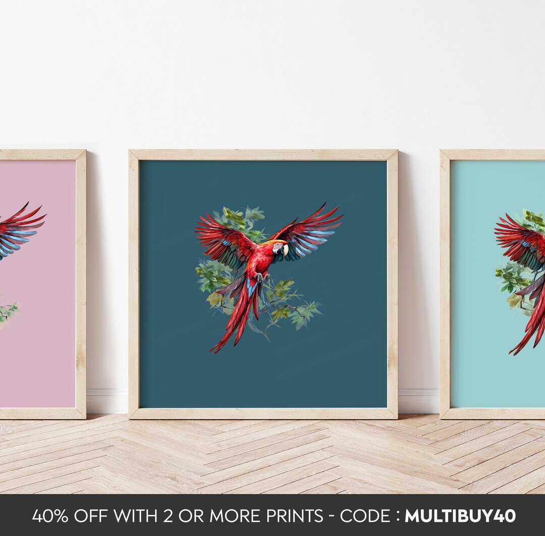 Red Macaw Poster - Red Macaw Print - Red Macaw Art - Bird Art - Birds ...