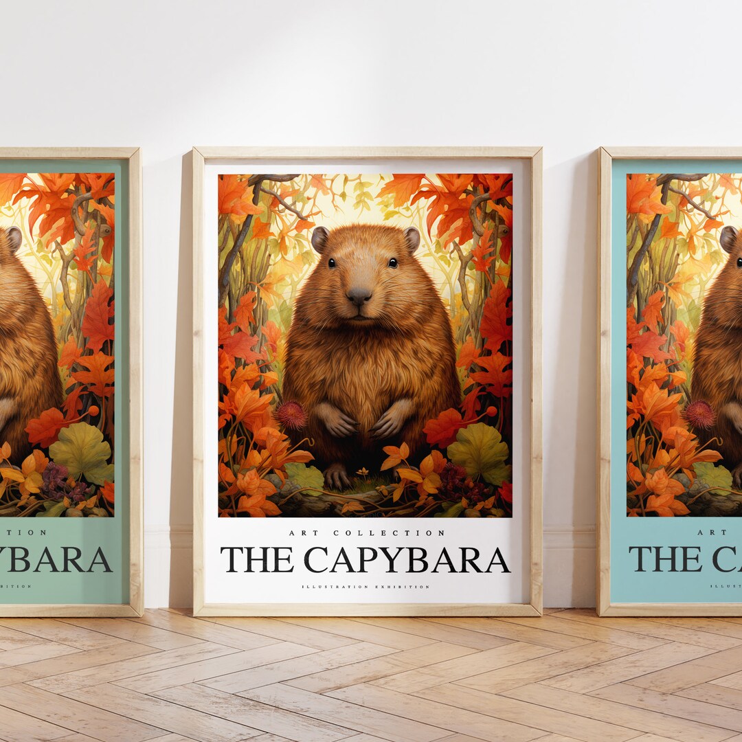 Any Colour - Capybara Print - Capybara Poster - Capybara Art - Wildlife ...