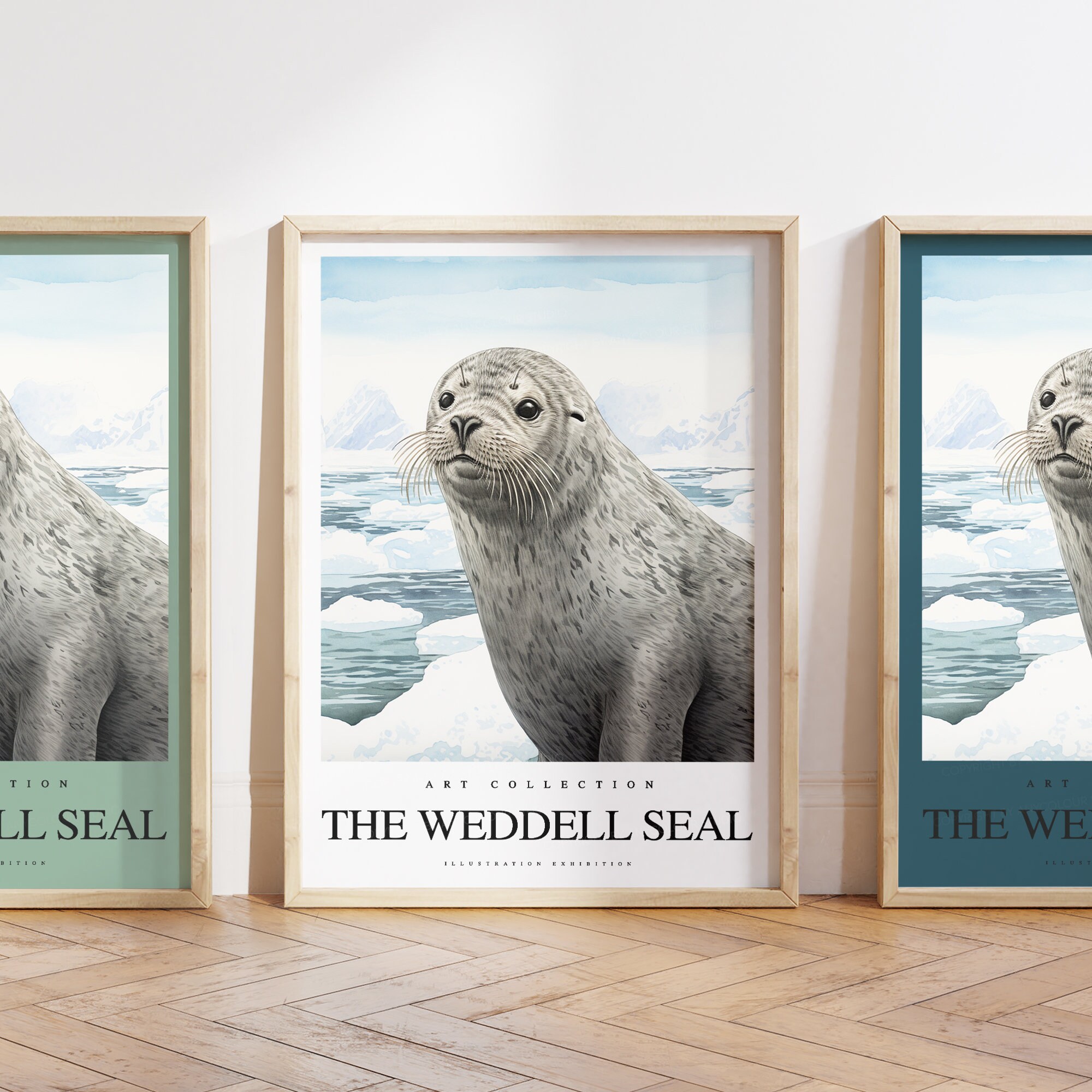 Left Weddell Seal
