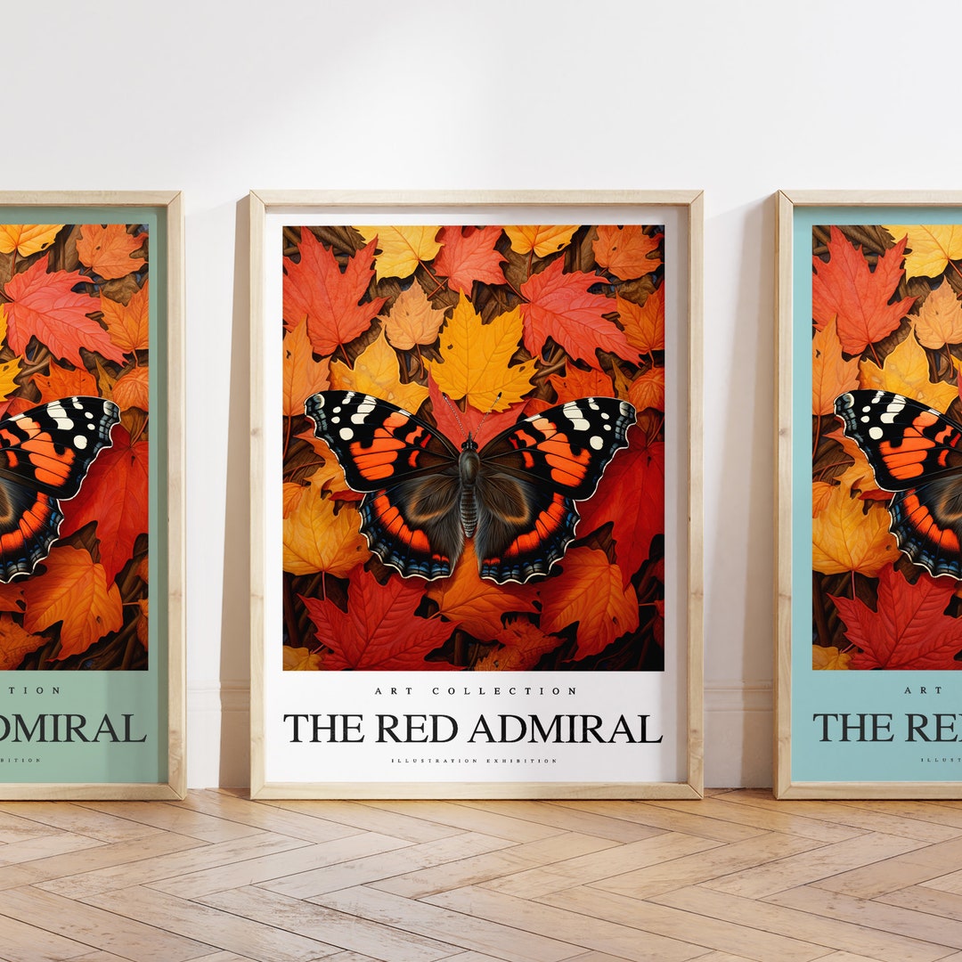 The Red Admiral Poster - the Red Admiral Print - the Red Admiral Art ...