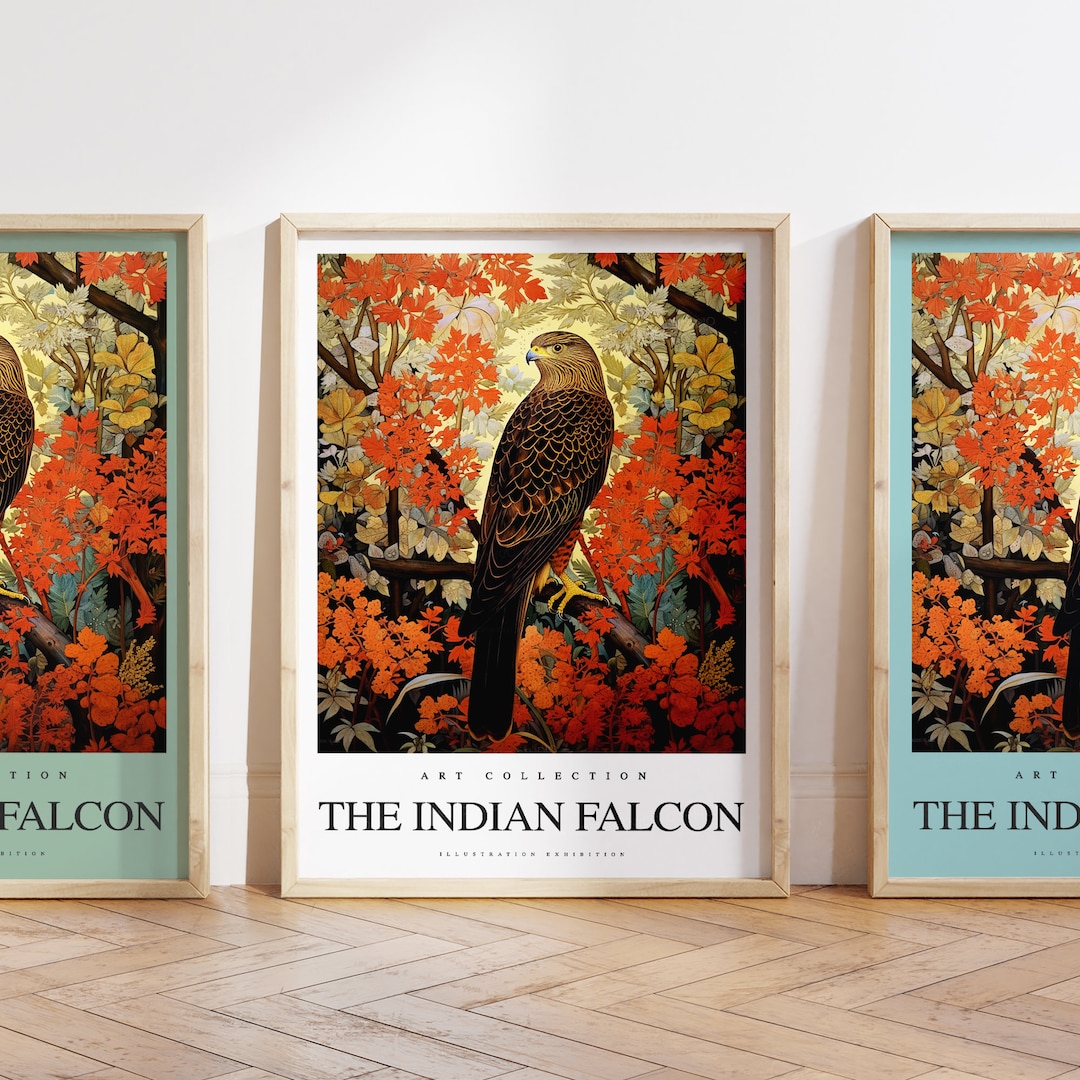 Any Colour - the Indian Falcon Print - the Indian Falcon Poster ...