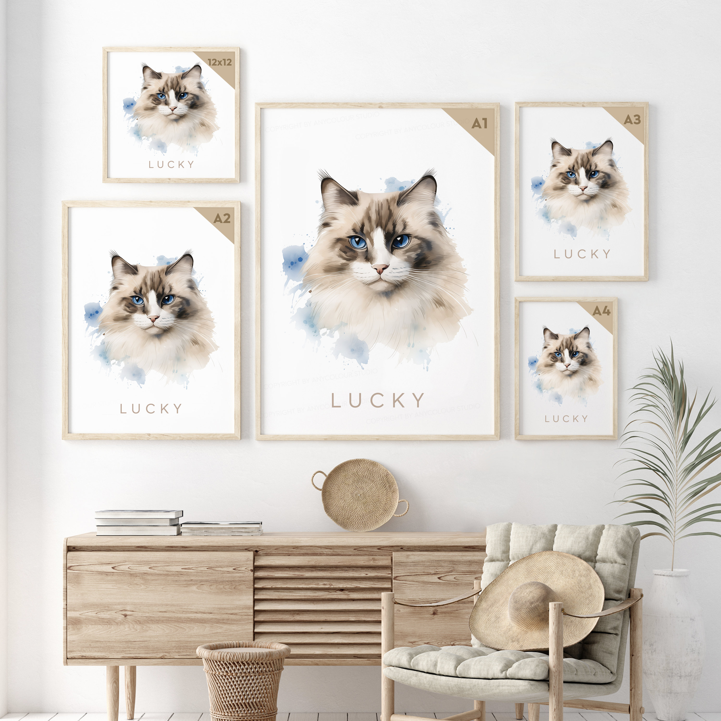 Custom Cat Poster Ragdoll Cat Poster Ragdoll Cat Print Ragdoll Kitten ...